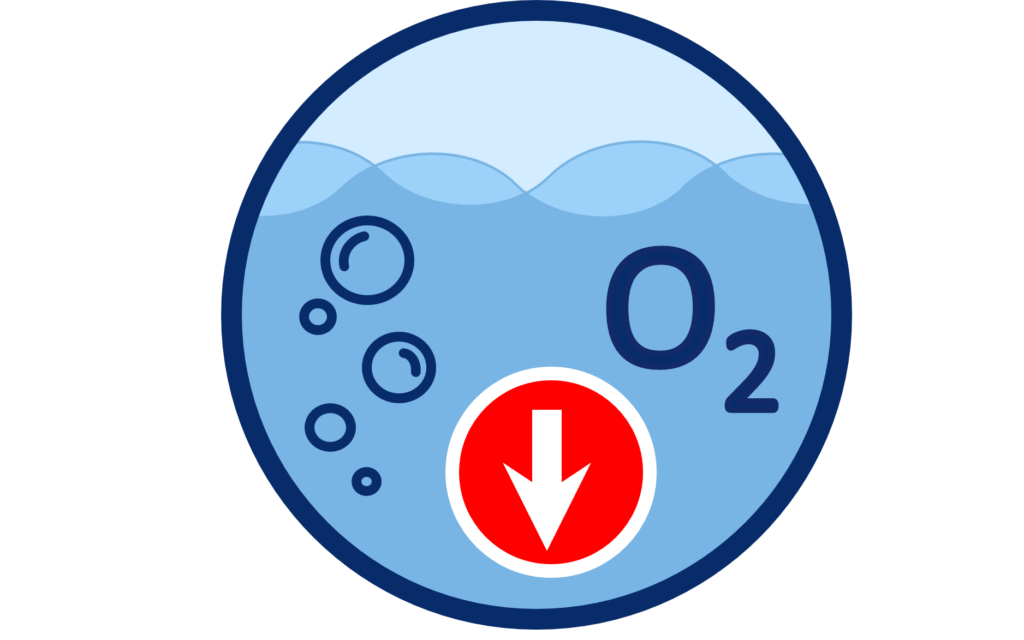 COMFORT project – Our common future ocean in the Earth system ...