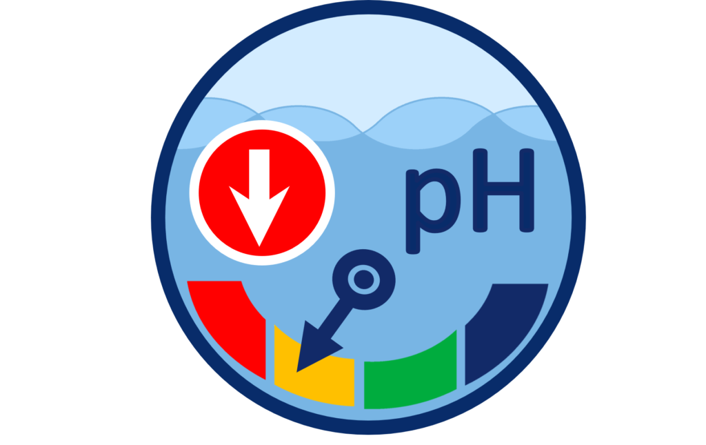 COMFORT project – Our common future ocean in the Earth system ...